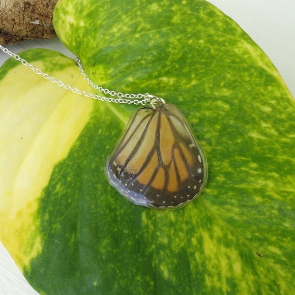 Handmade | Jewelry | Butterfly Necklace Real Butterfly Wing Pendant ...